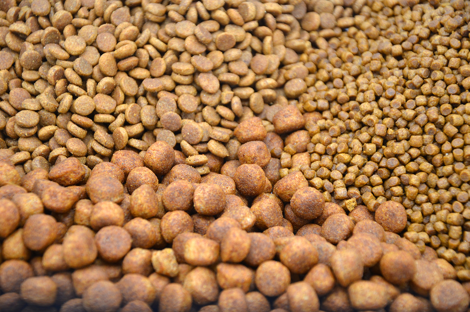 Dierenvoeding sorteren: snel en accuraat | Optimum Sorting