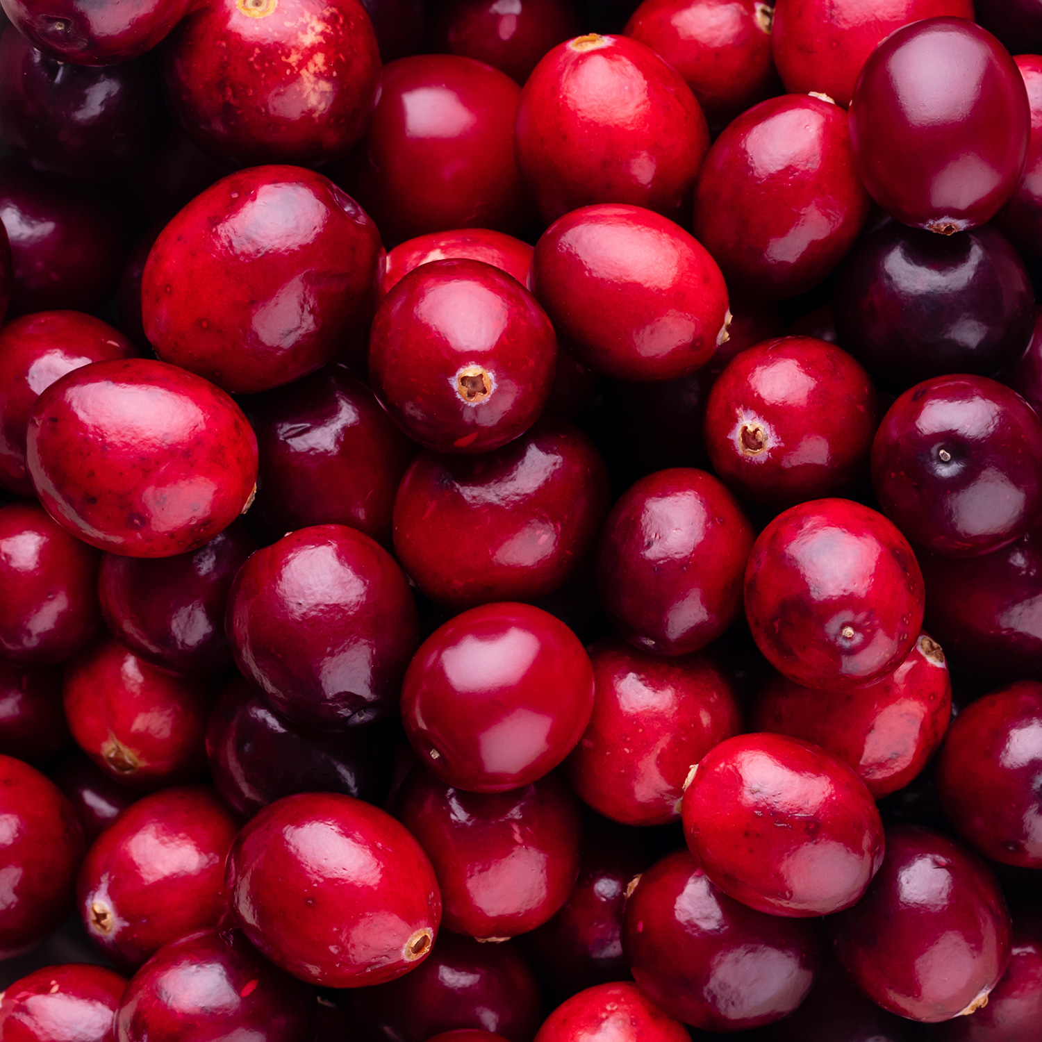 Fruit: discover our sorting solutions | Optimum Sorting